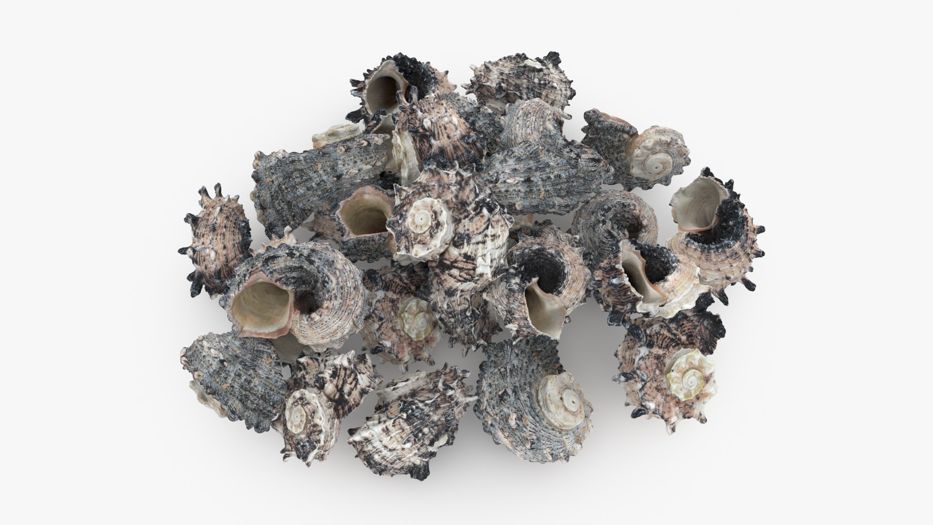 Angaria Delphinus Pile Model - TurboSquid 2214463