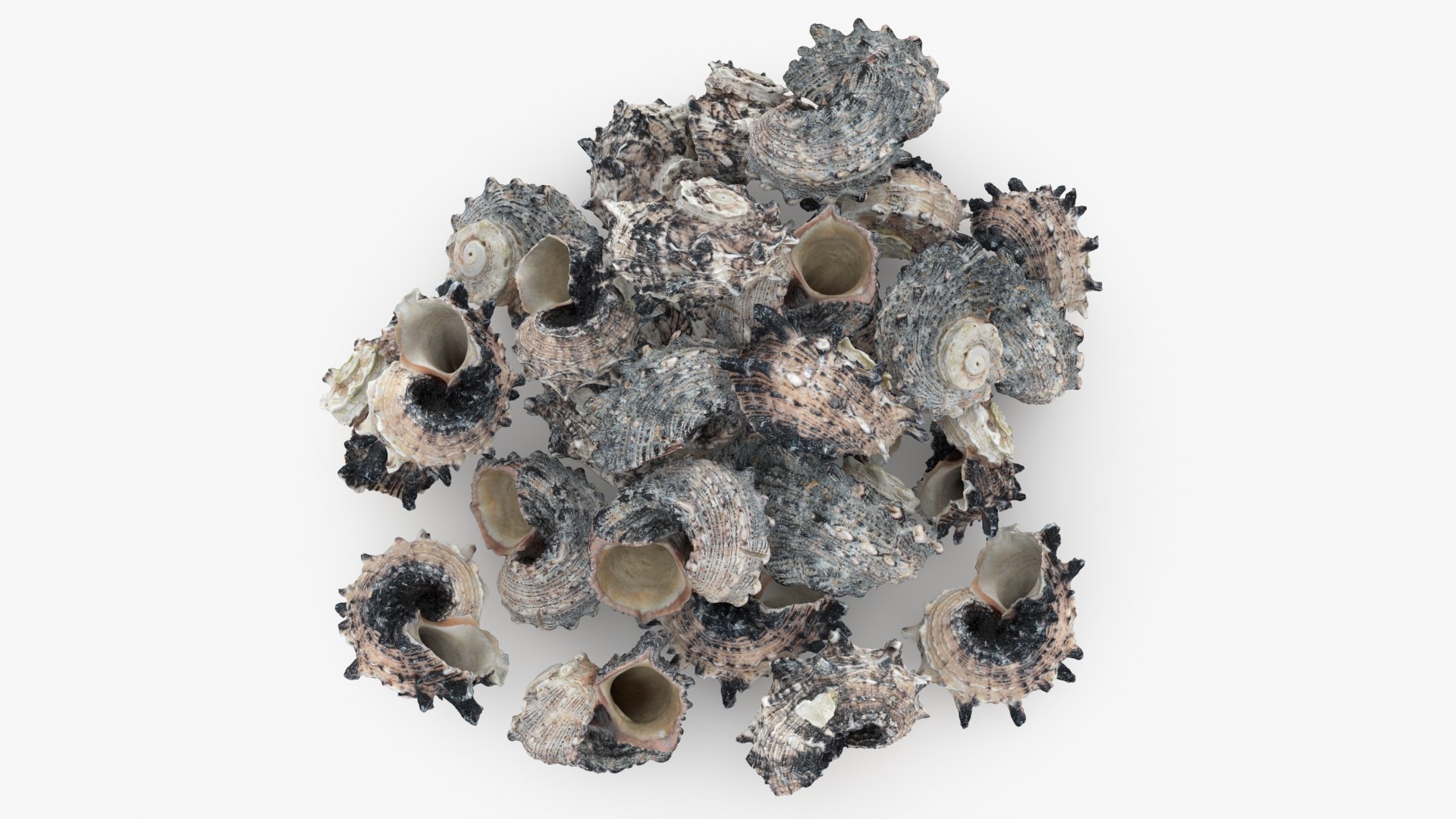 Angaria Delphinus Pile Model - TurboSquid 2214463