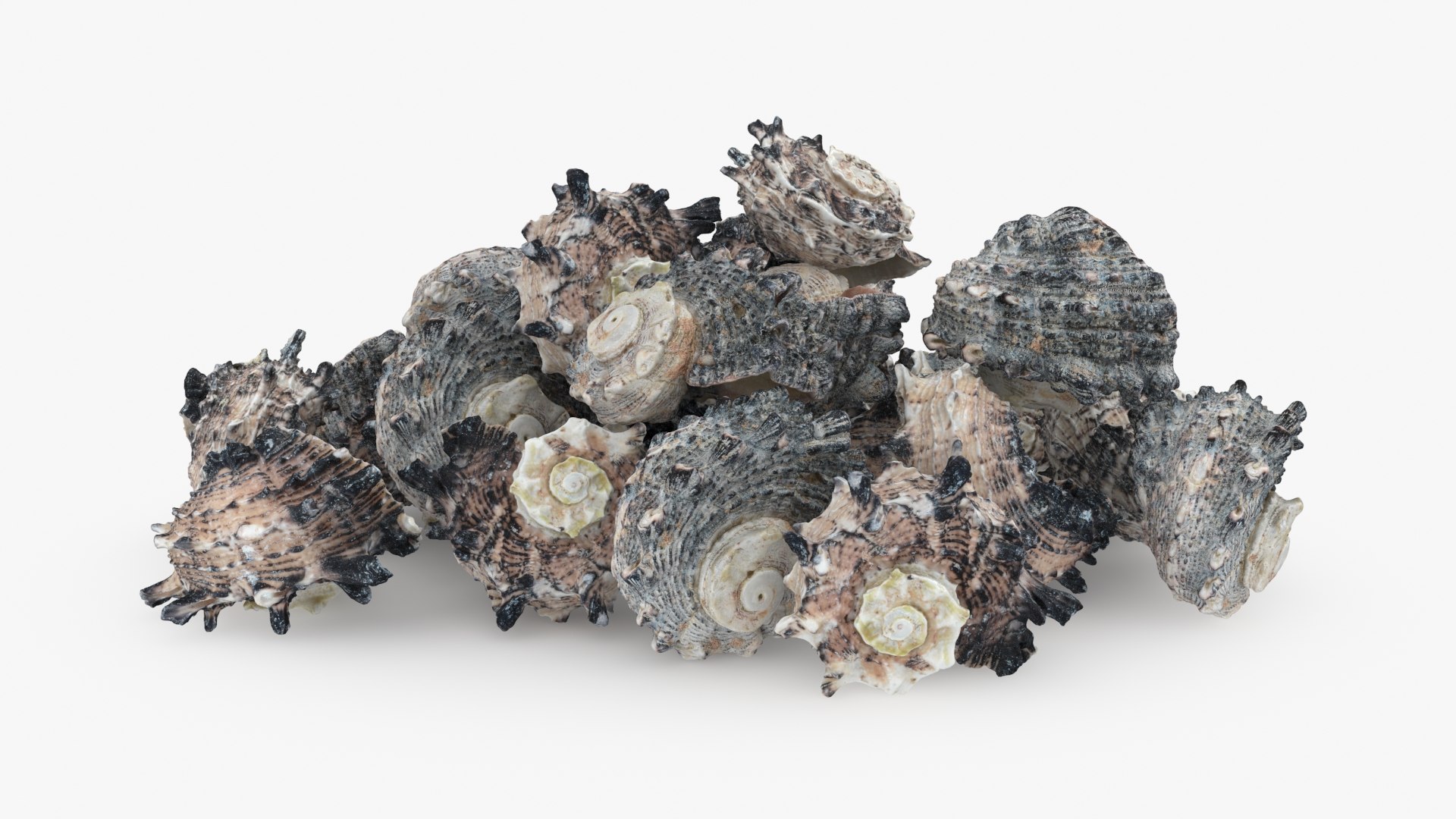 Angaria Delphinus Pile Model - TurboSquid 2214463