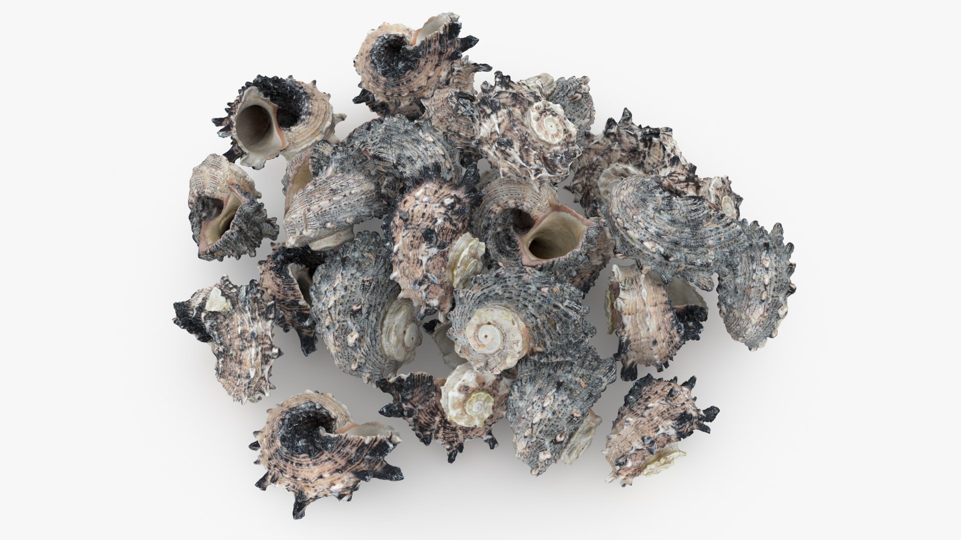 Angaria Delphinus Pile Model - TurboSquid 2214463