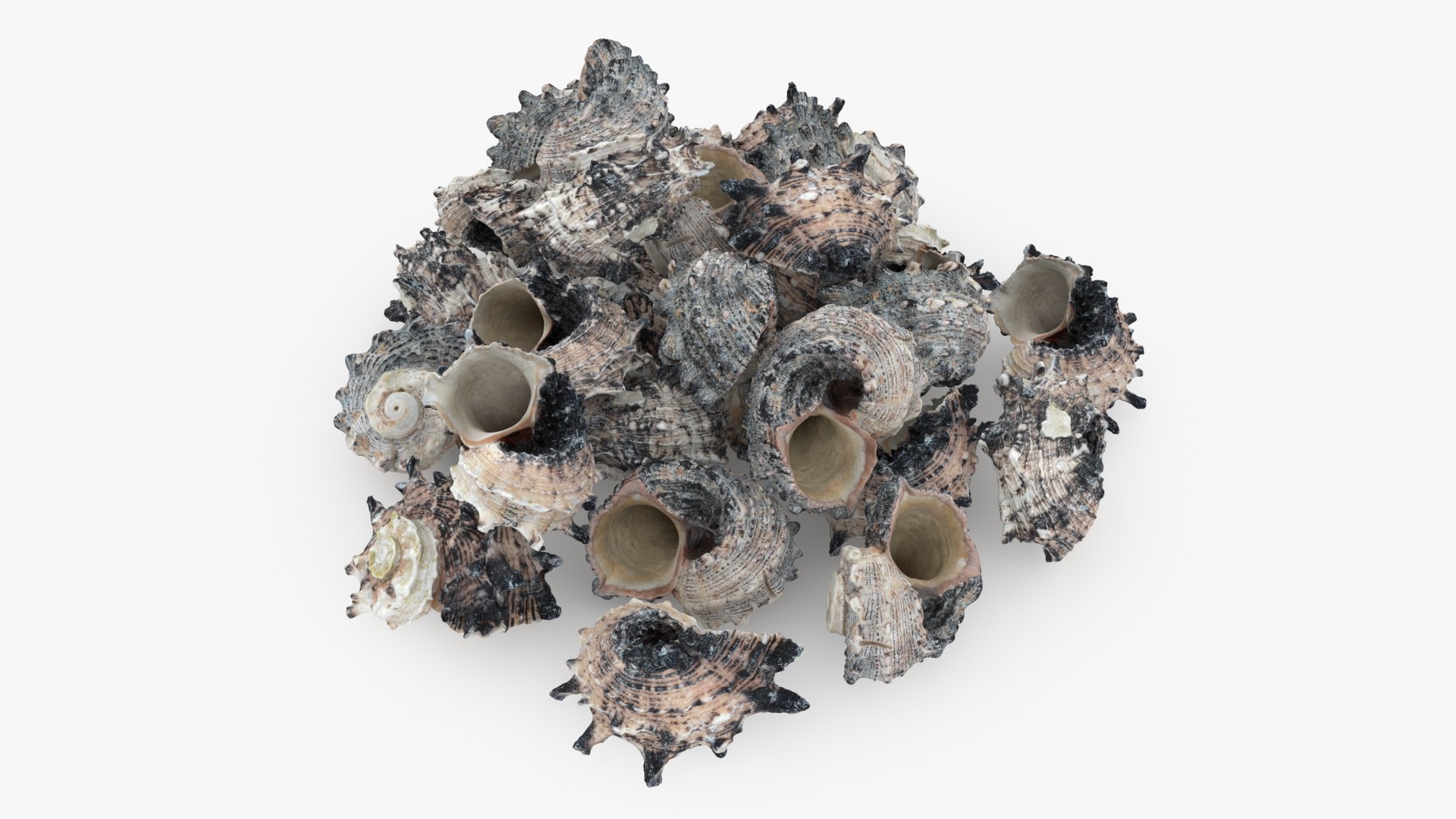 Angaria Delphinus Pile Model - TurboSquid 2214463