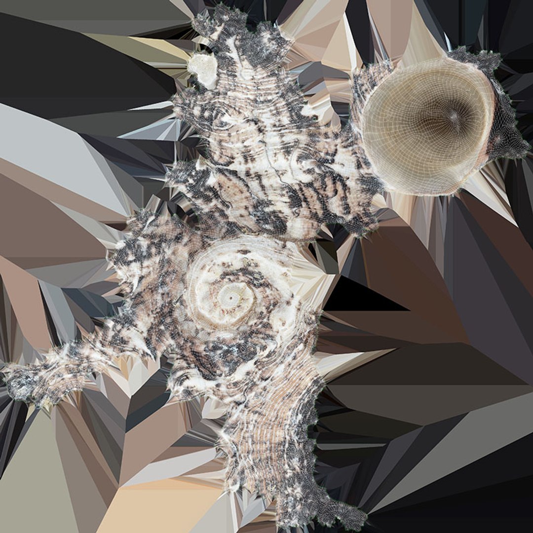 Angaria Delphinus Pile Model - TurboSquid 2214463