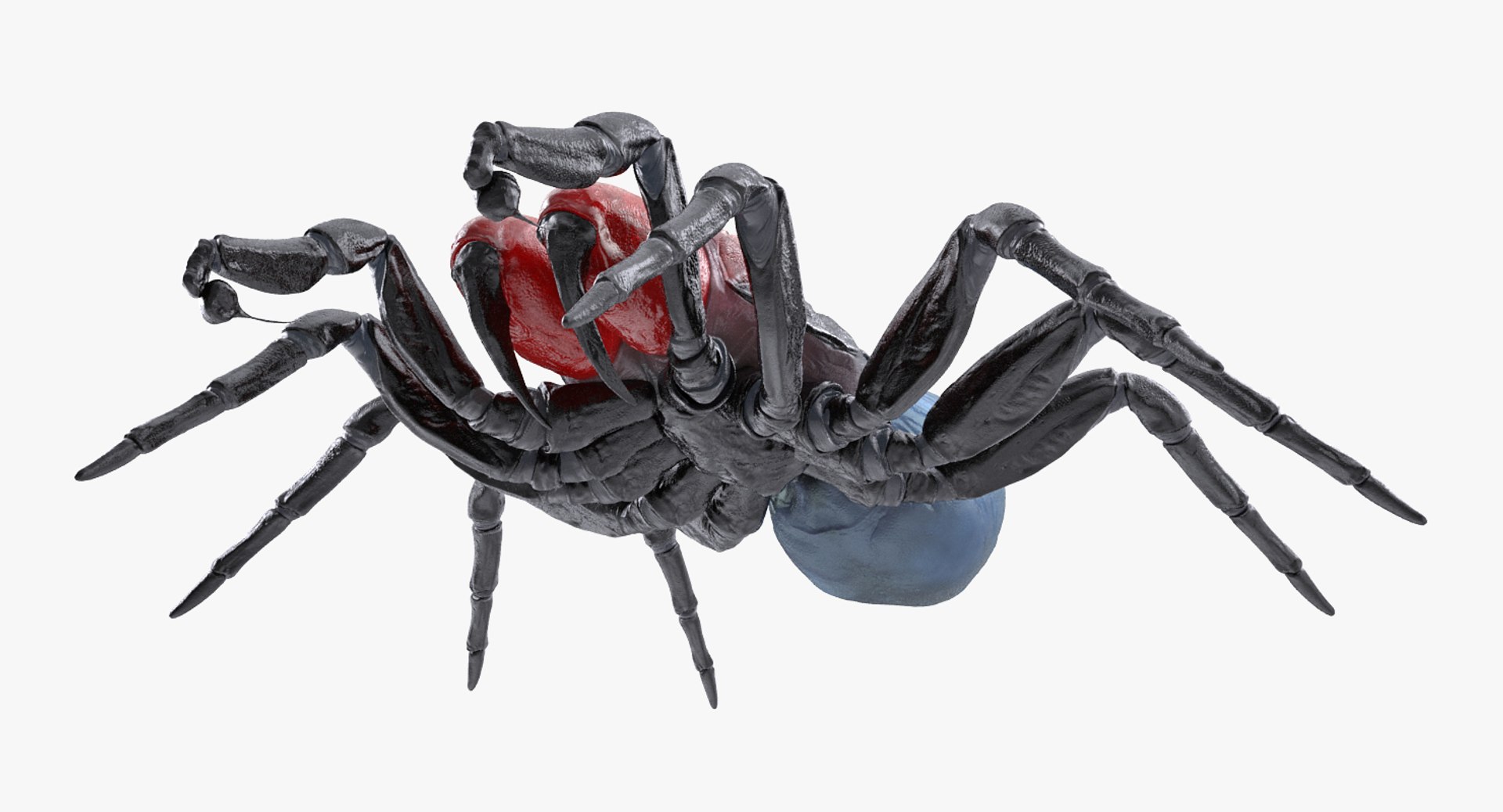 Mouse Spider Rigged 3D - TurboSquid 1171001