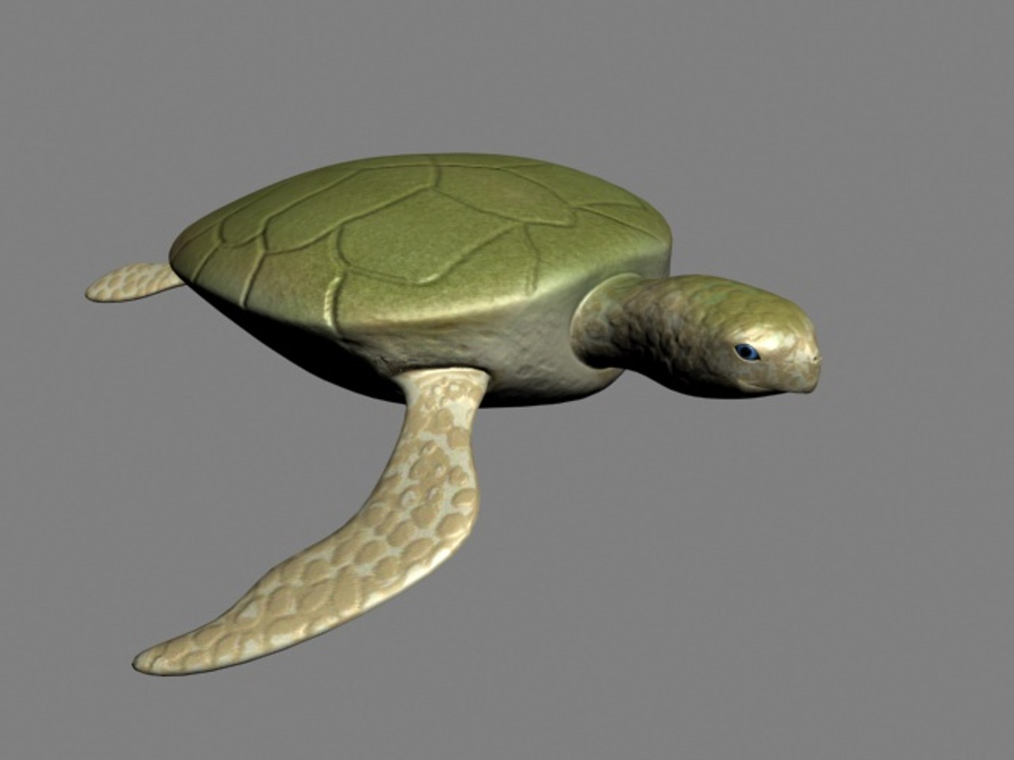 3d Turtle Rigged Normal Model