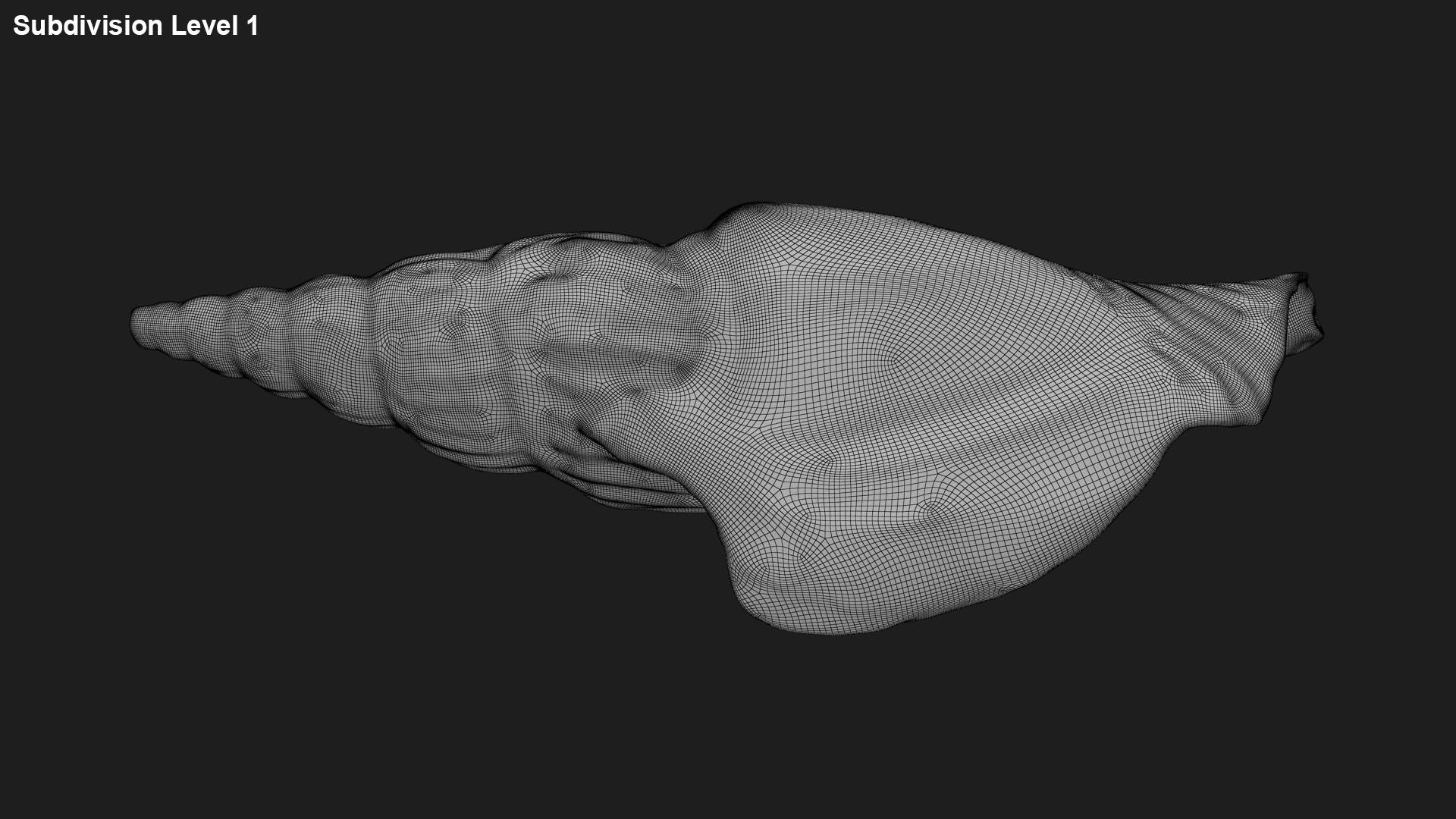 3D Doxander Vittatus Model - TurboSquid 2360173