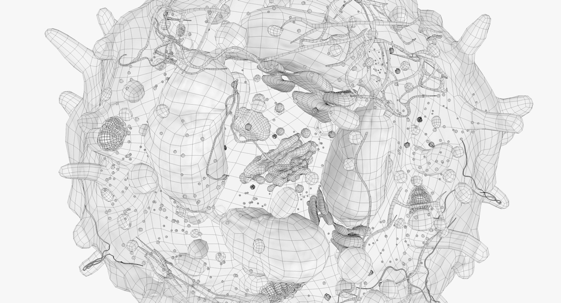 Neutrophil cells azurophilic 3D model - TurboSquid 1268922