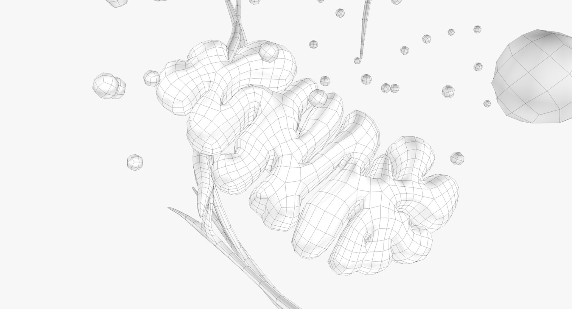 Neutrophil cells azurophilic 3D model - TurboSquid 1268922