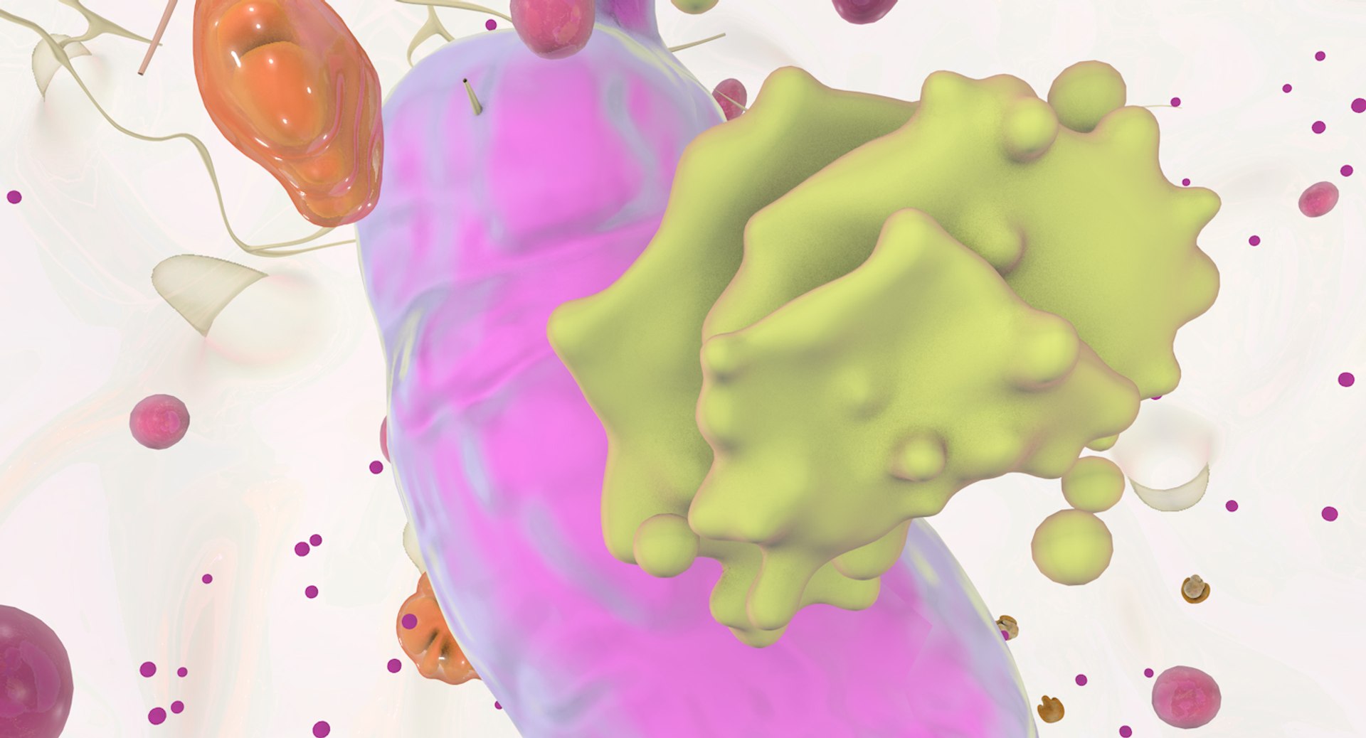 Neutrophil cells azurophilic 3D model - TurboSquid 1268922