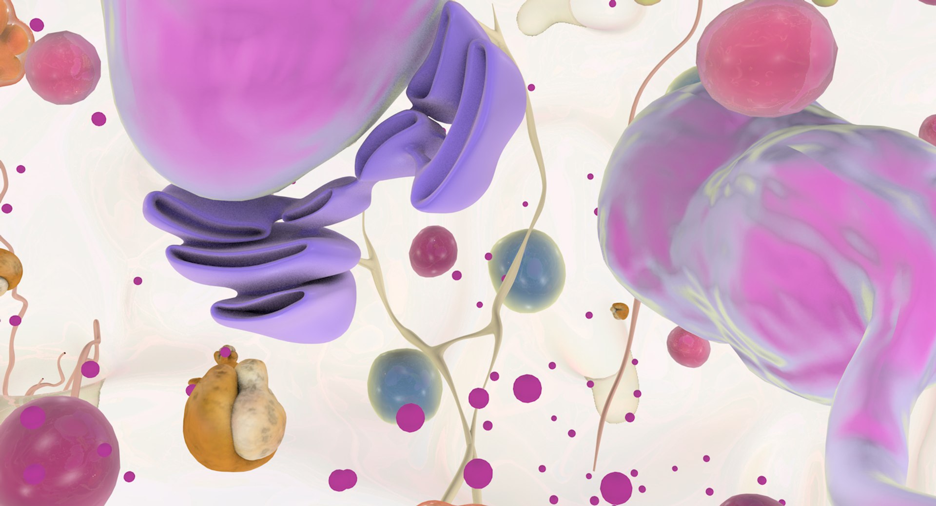 Neutrophil cells azurophilic 3D model - TurboSquid 1268922