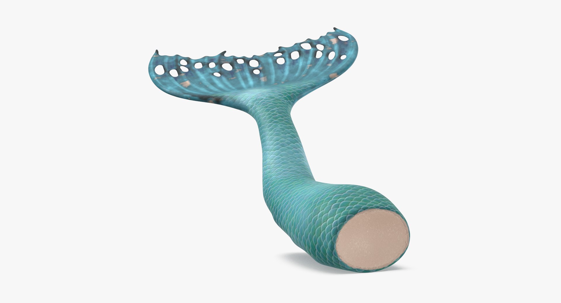 Mermaid tail 02 swimming 3D model - TurboSquid 1239616