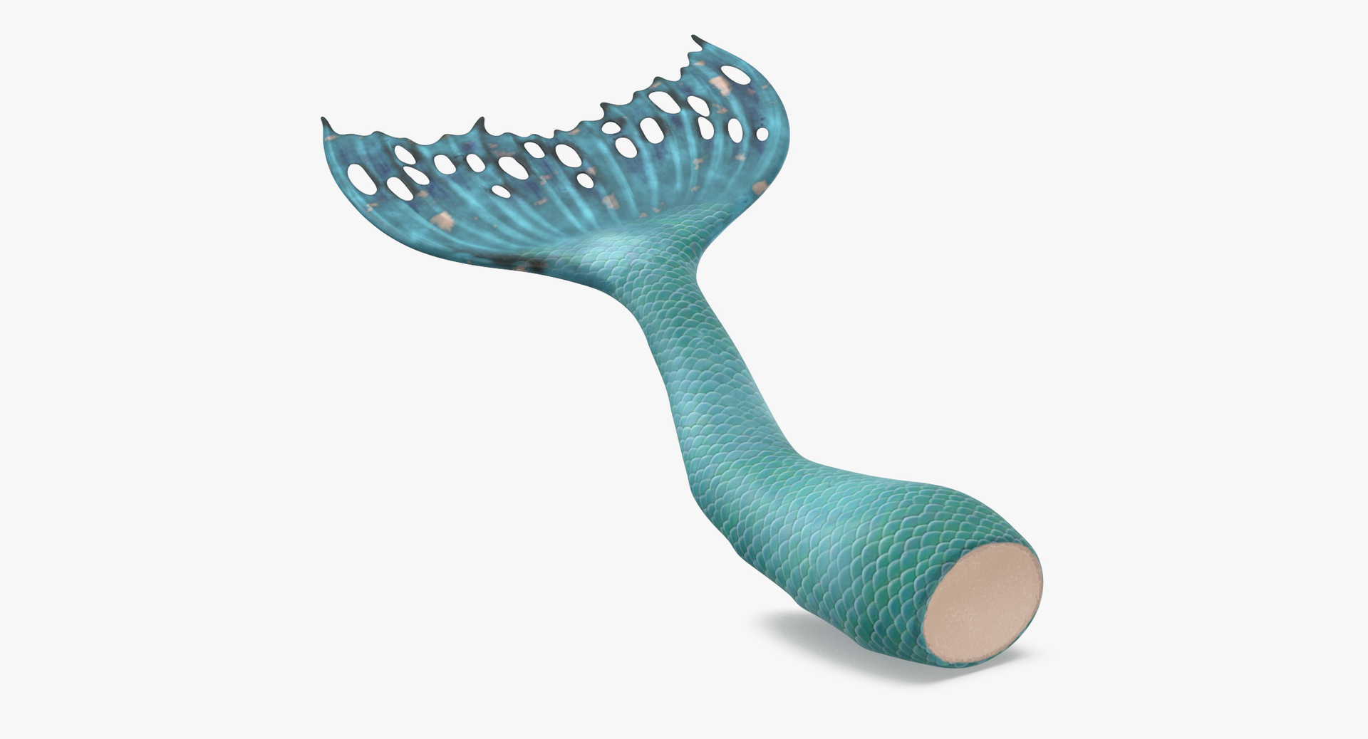 Mermaid tail 02 swimming 3D model - TurboSquid 1239616