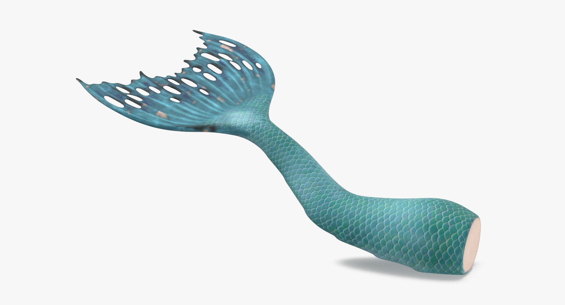 Mermaid tail 02 swimming 3D model - TurboSquid 1239616
