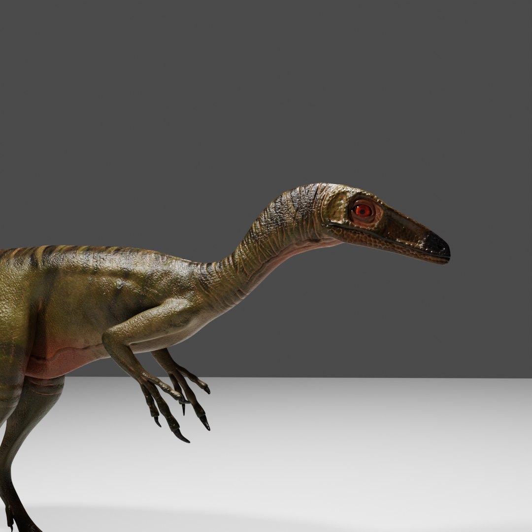 3D Compsognathus animated dinosaur for cgi model - TurboSquid 2155336