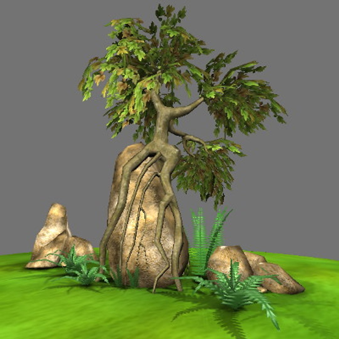 3d low-poly set rocks tree fern model