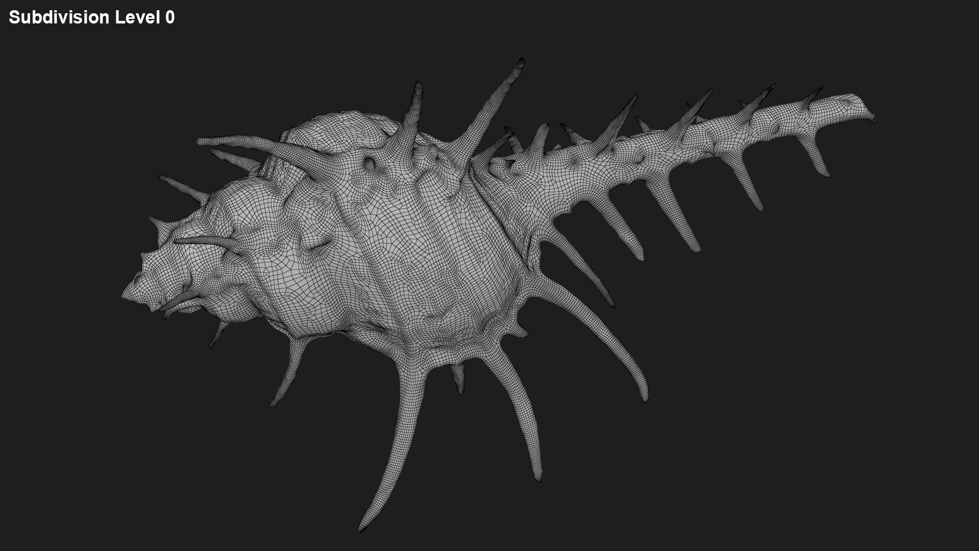 Murex Ternispina 3D - TurboSquid 2375735