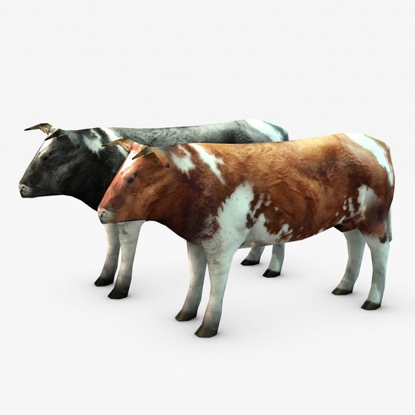 Cow 3D Models for Download | TurboSquid