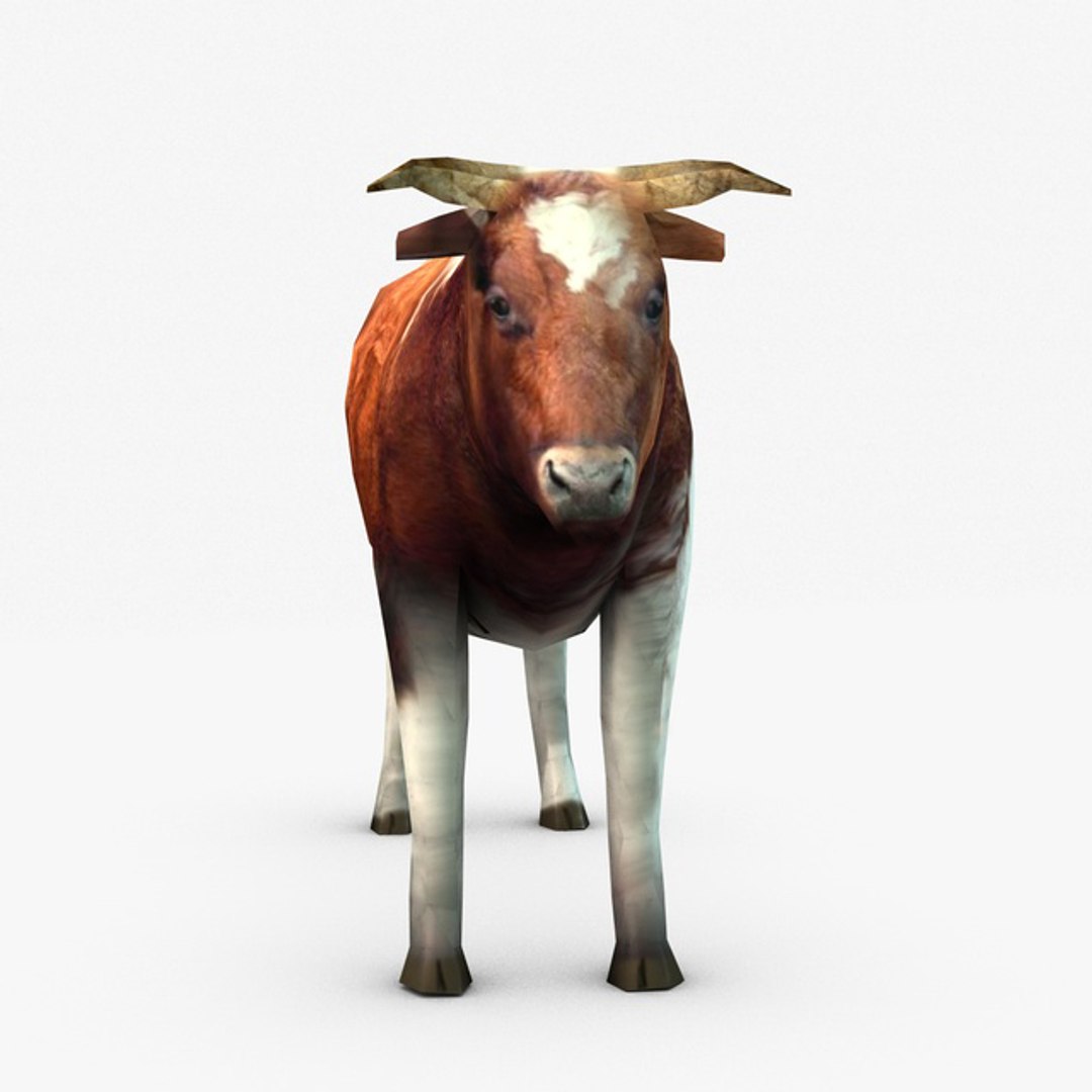 Cow