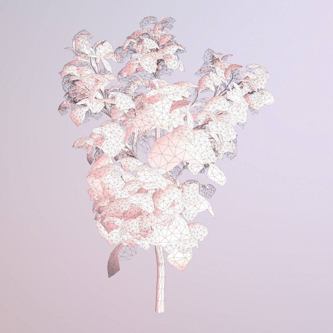 3D model Birch - TurboSquid 1749646