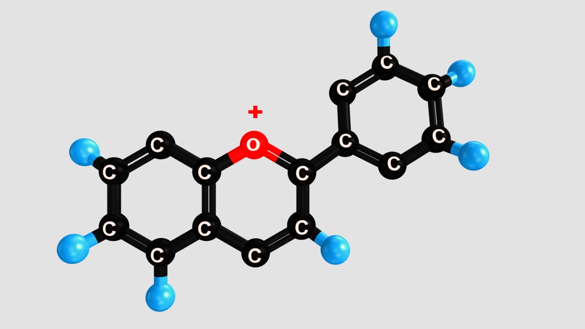 modelo 3d Pigmentos de antocianina en plantas. - TurboSquid 885933