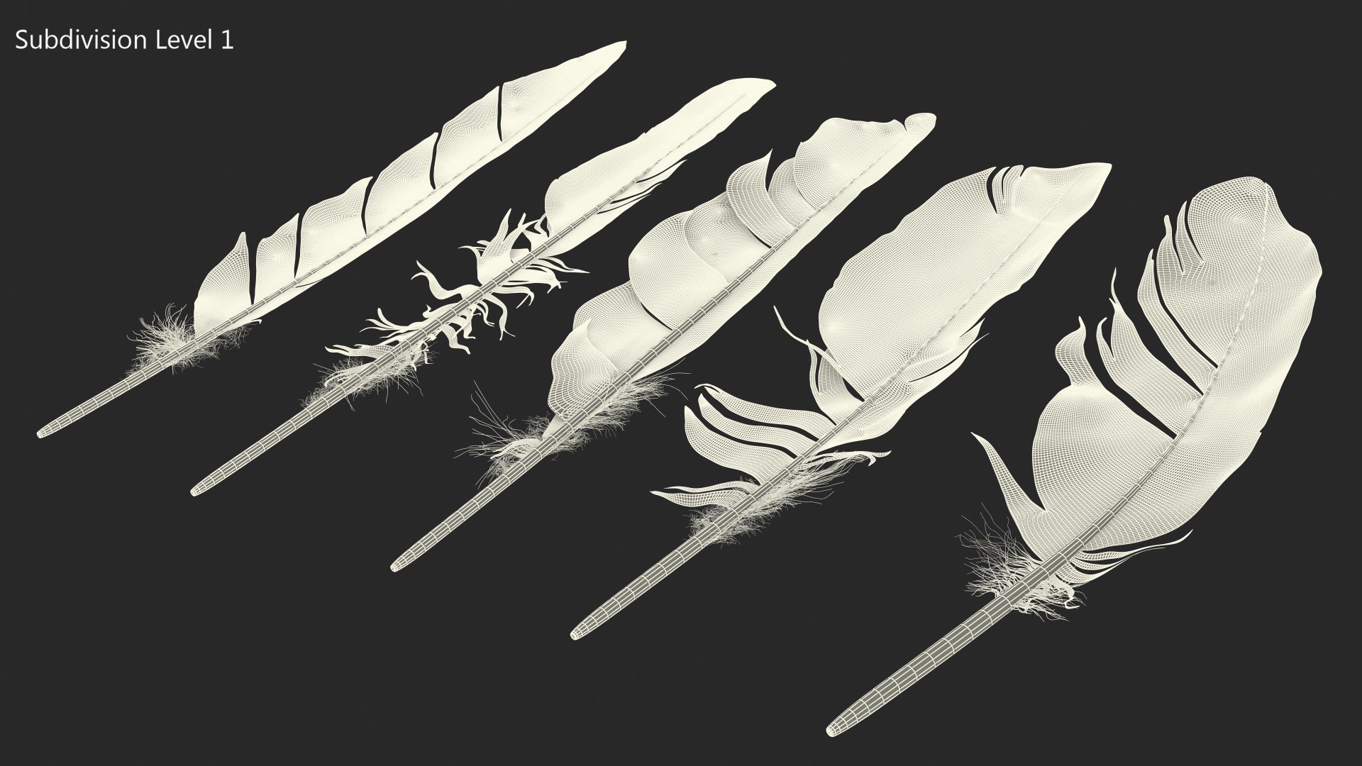 3D Bird Feathers - TurboSquid 2163491