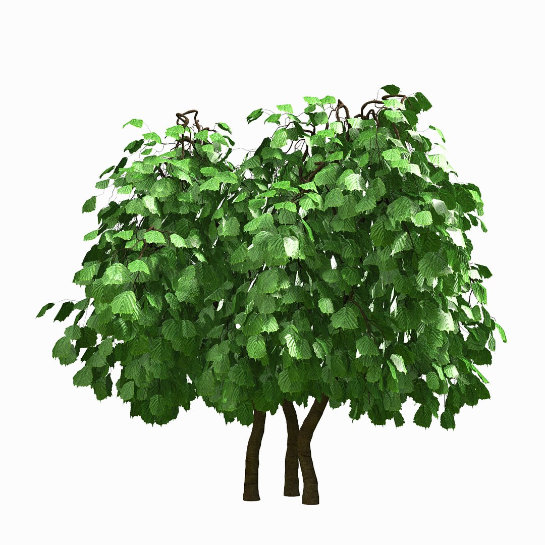 3d Tree Environment