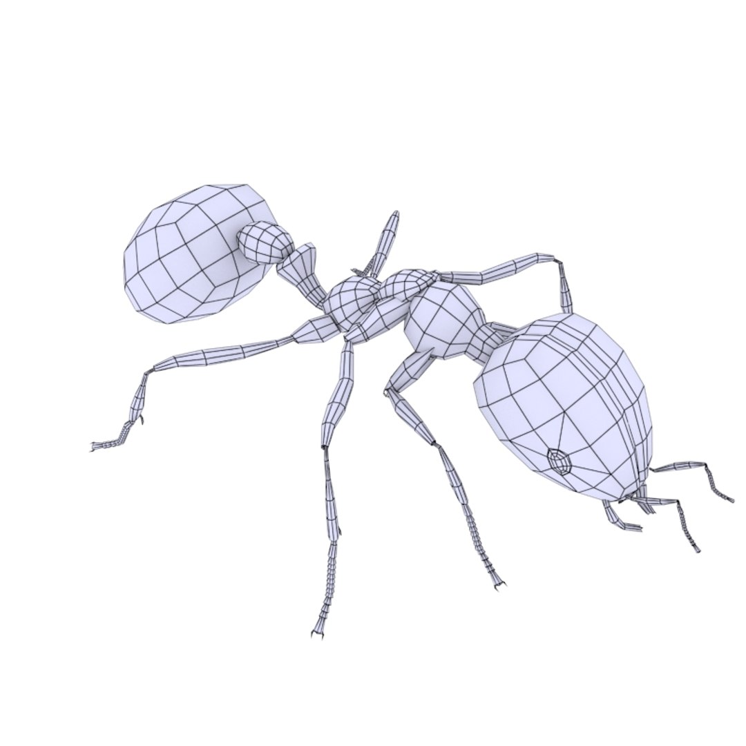 Ant 3D Model - TurboSquid 1166841