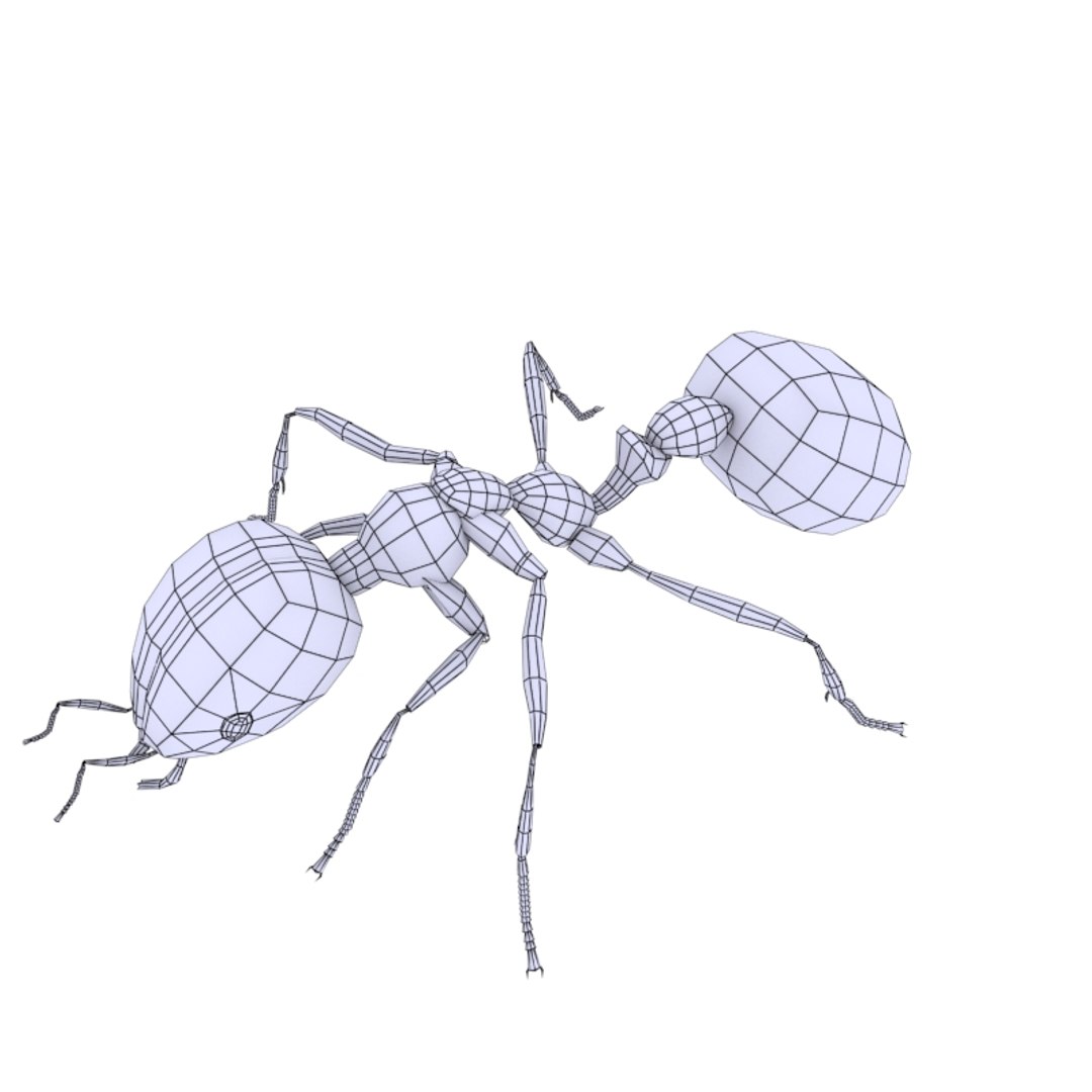 Ant 3D Model - TurboSquid 1166841