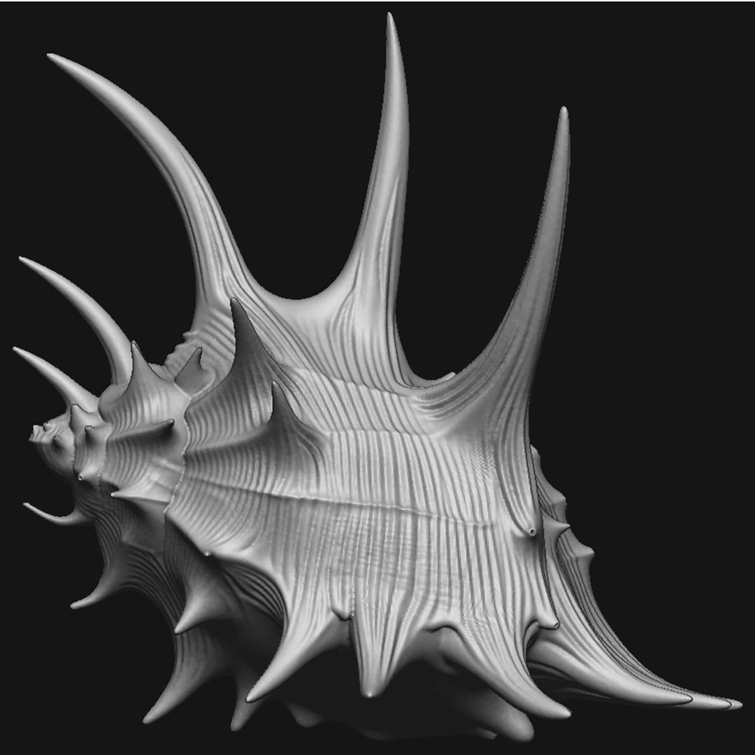 PROTOFORMS 3D Model - TurboSquid 2438462