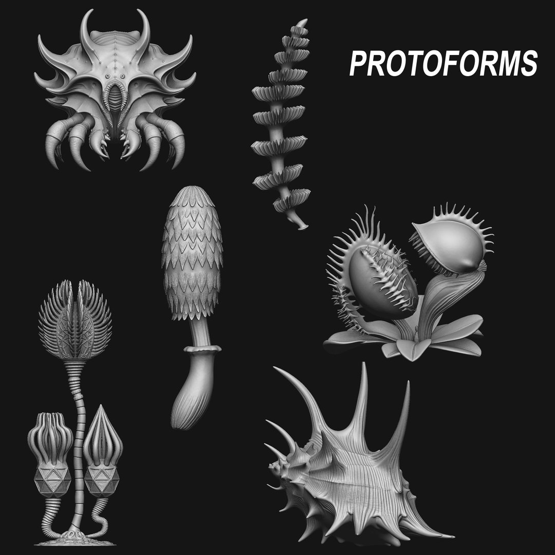 PROTOFORMS 3D Model - TurboSquid 2438462