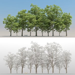 Download Free & Premium Planes 3D Models | TurboSquid