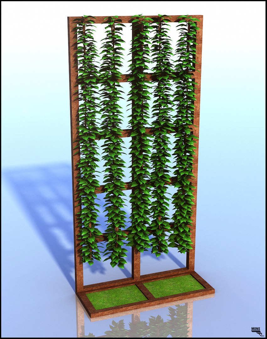 Liana Plant Wall 3d Model