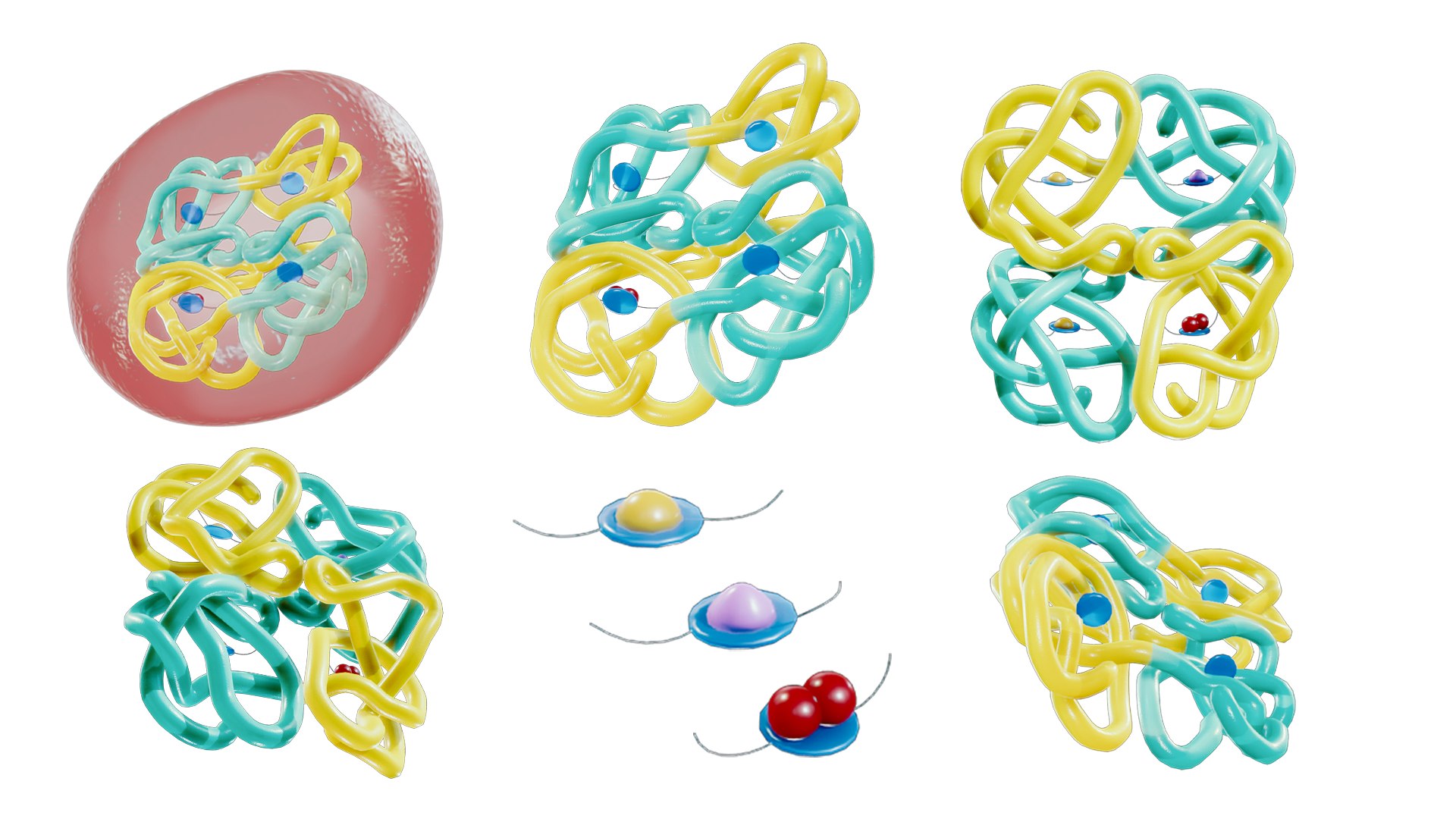 3D The Structure Of Hemoglobin - TurboSquid 2135767