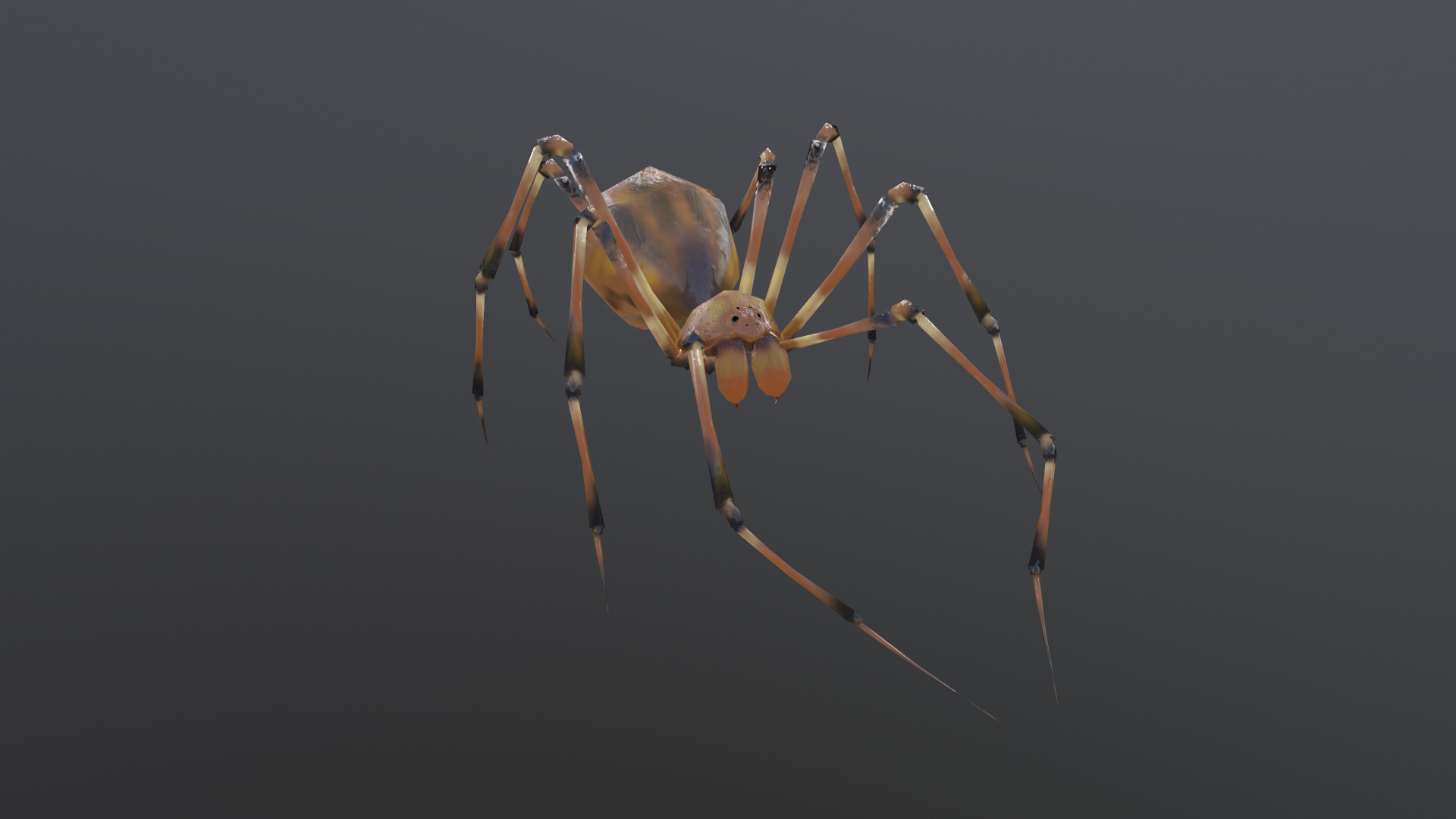 3D Spider Animation Walk Model - TurboSquid 1483462