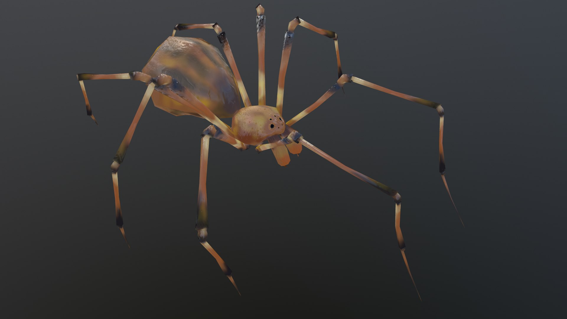 3D Spider Animation Walk Model - TurboSquid 1483462