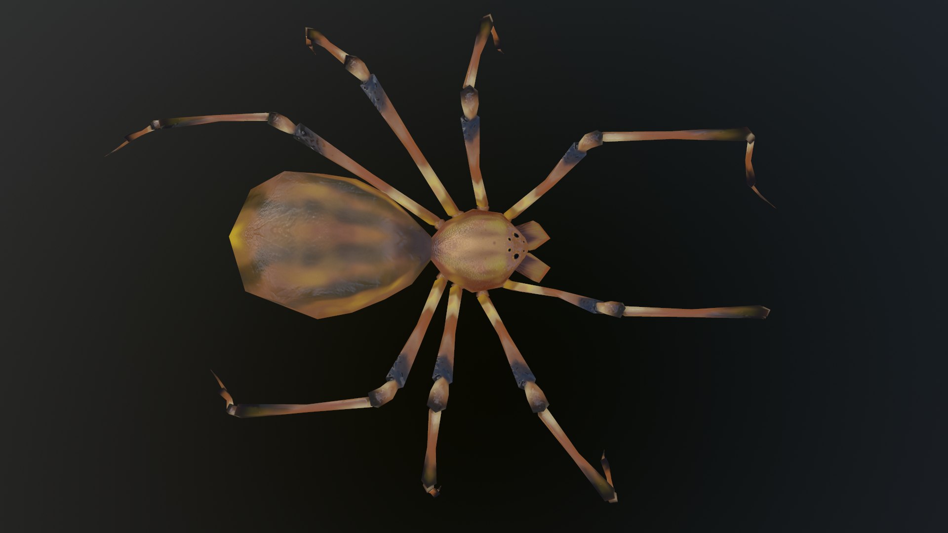 3D Spider Animation Walk Model - TurboSquid 1483462