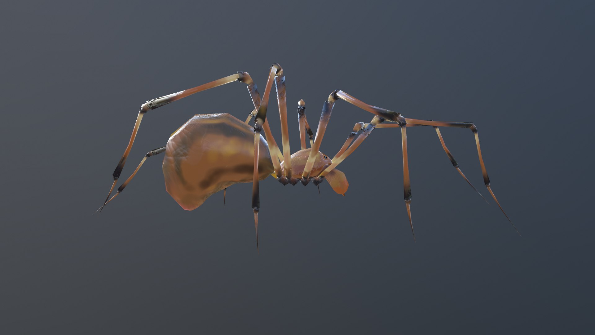 3D Spider Animation Walk Model - TurboSquid 1483462