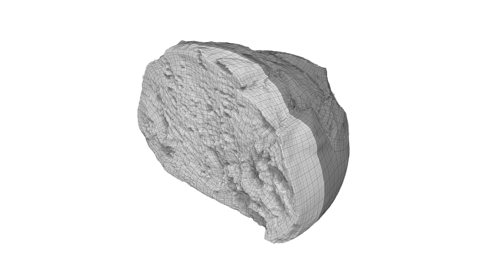 3D Half a Crusty Round Italian Bread - Extreme Definition 3D Scanned ...