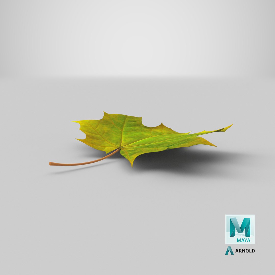 Maple Leaf V3 3D Model - TurboSquid 1785433