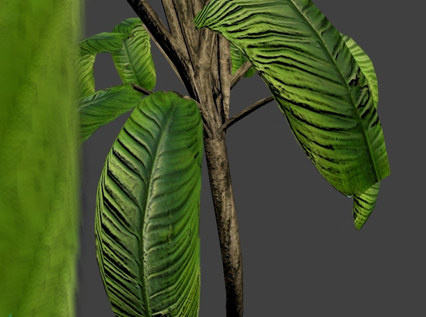 Palm 3D Model | 1142654 | TurboSquid