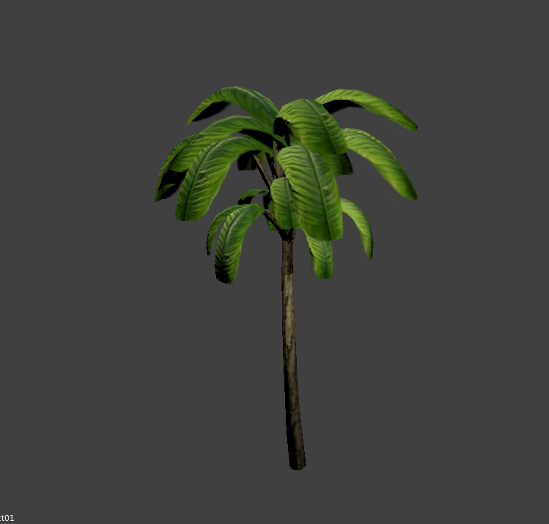 Palm 3D Model | 1142654 | TurboSquid