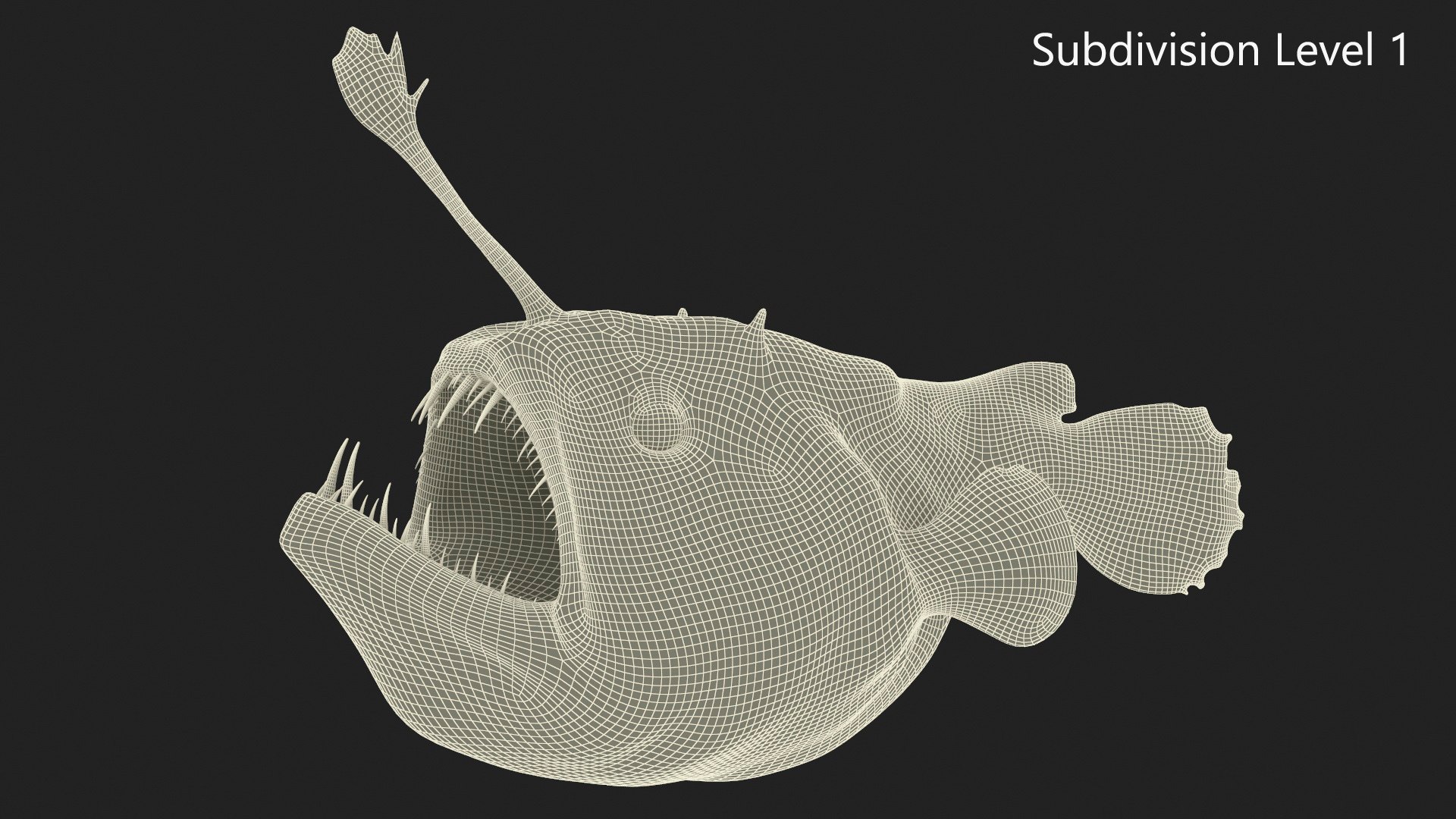 3D Anglerfish Model - TurboSquid 2241835