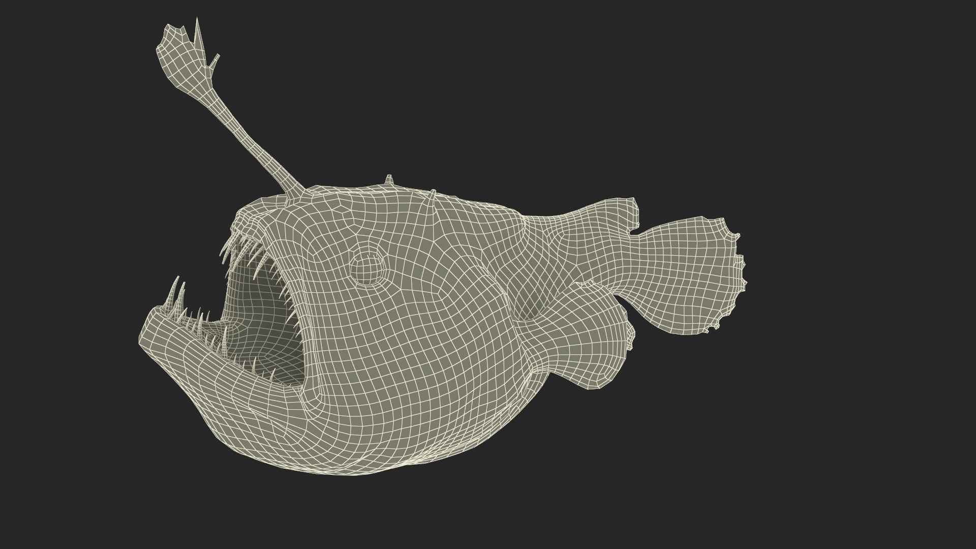 3D Anglerfish Model - TurboSquid 2241835