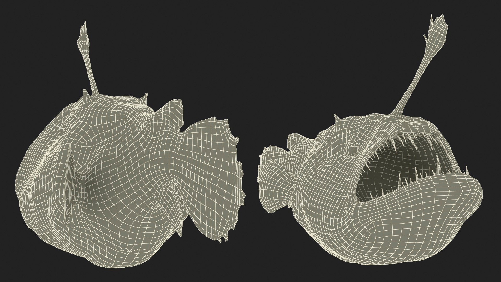 3D Anglerfish Model - TurboSquid 2241835