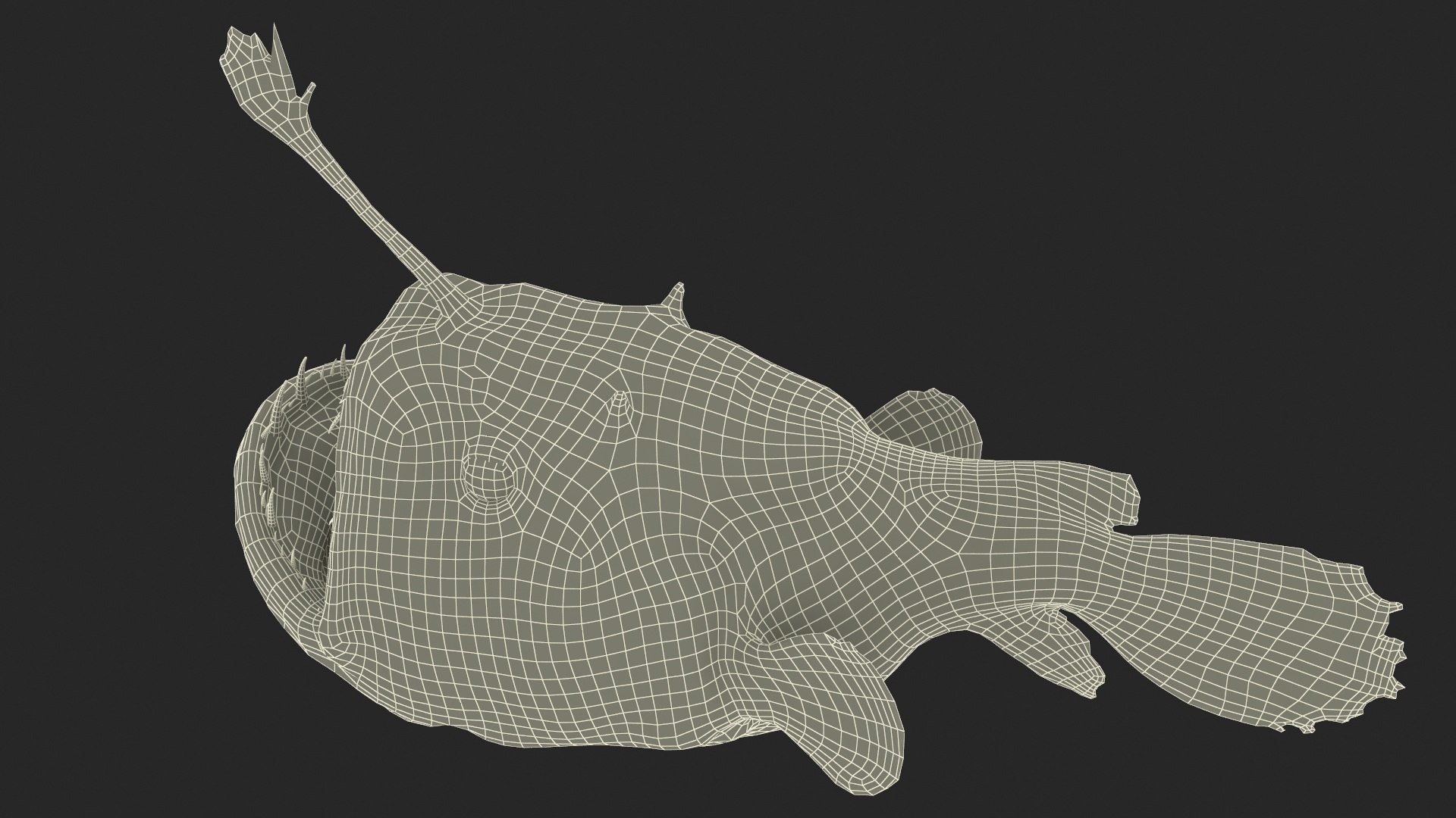 3D Anglerfish Model - TurboSquid 2241835