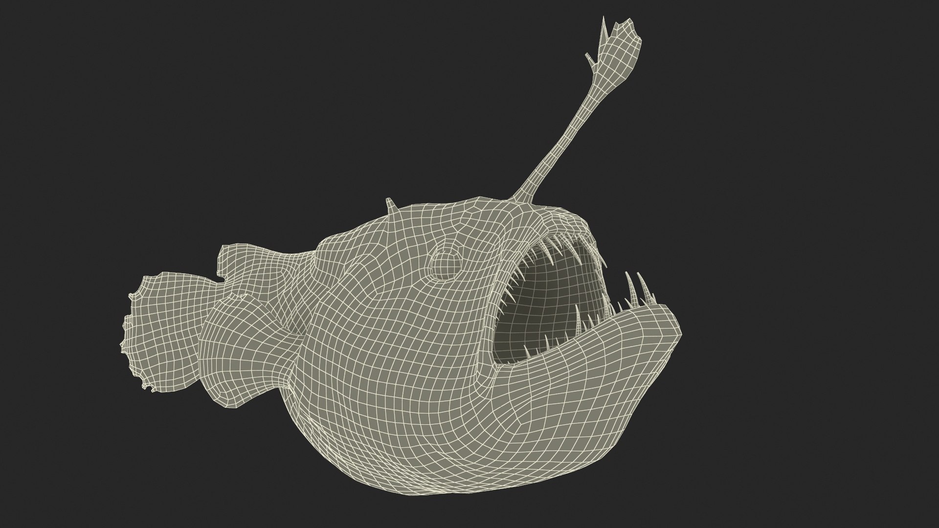 3D Anglerfish Model - TurboSquid 2241835
