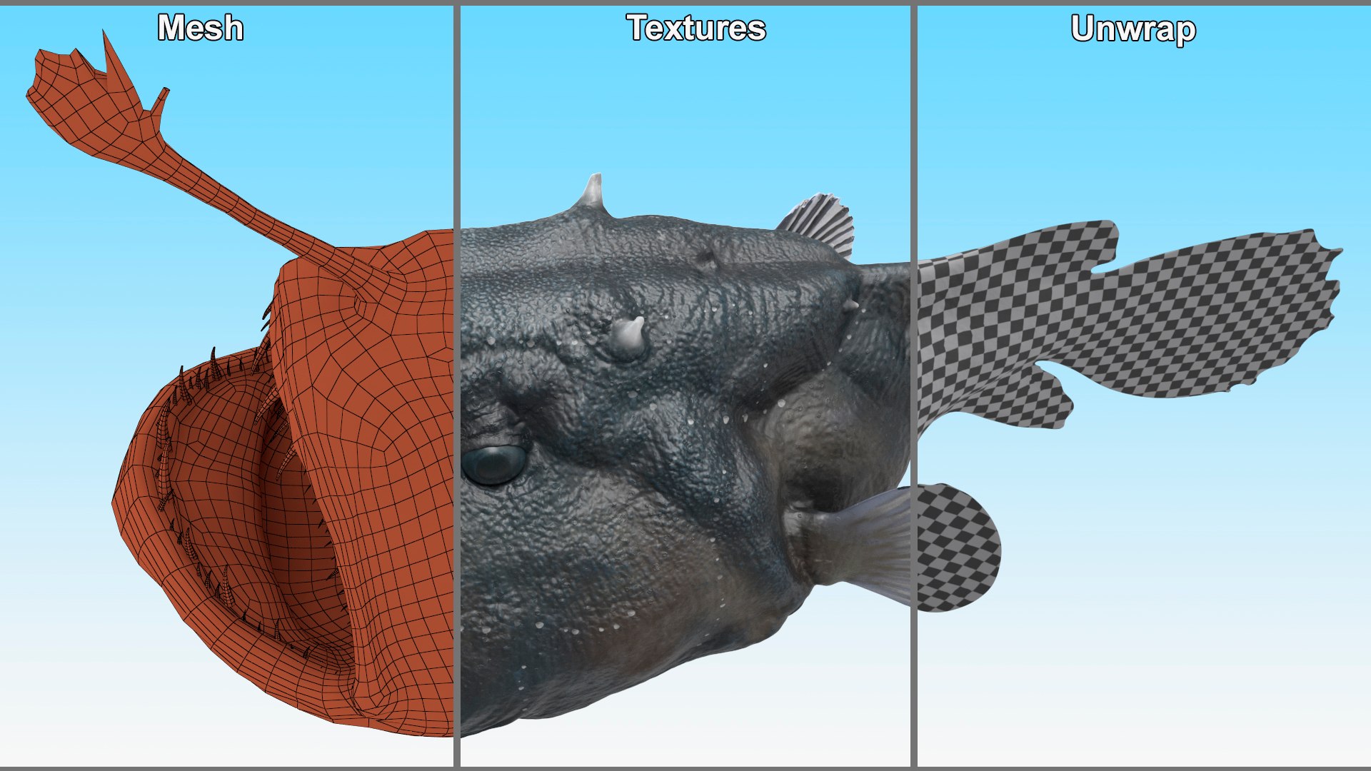 3D Anglerfish Model - TurboSquid 2241835
