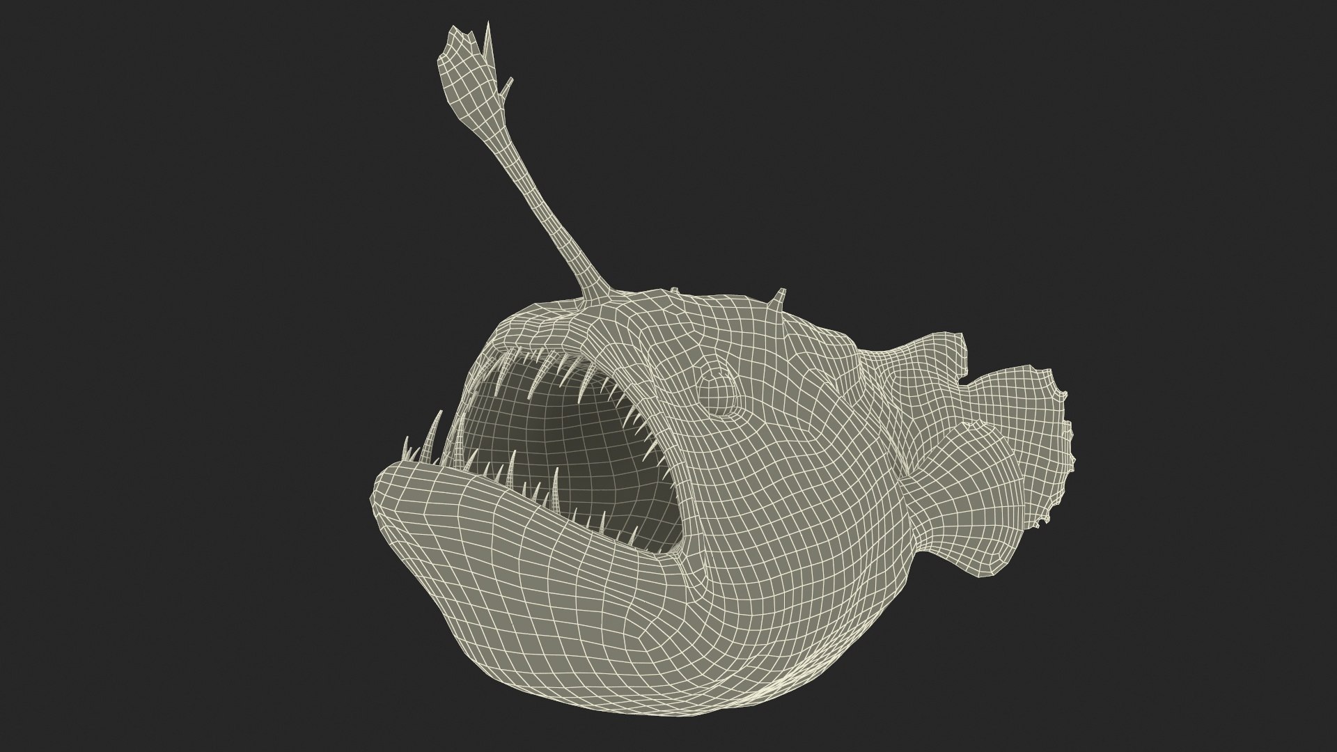 3D Anglerfish Model - TurboSquid 2241835