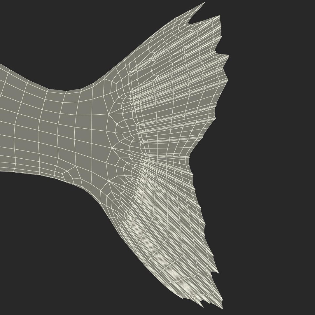3d model ruff fish