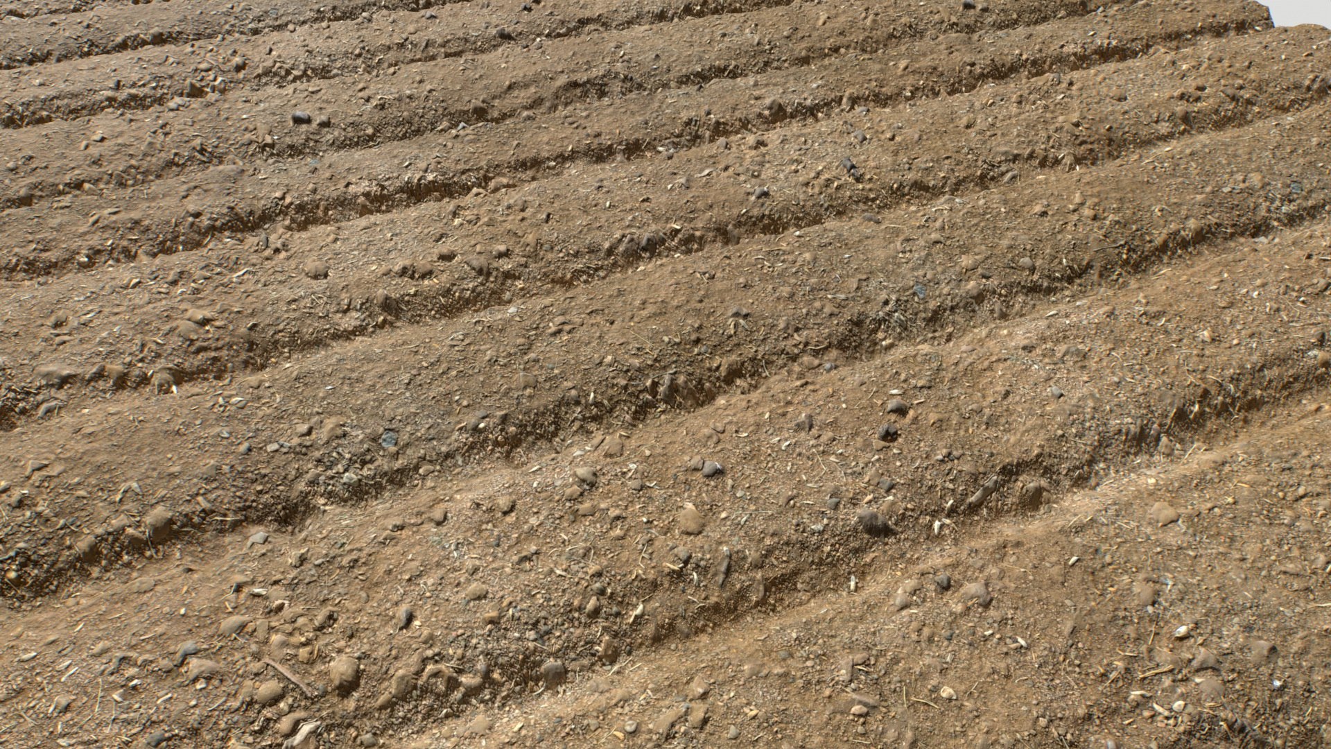 Farm Terrain Textures 3D - TurboSquid 2435673