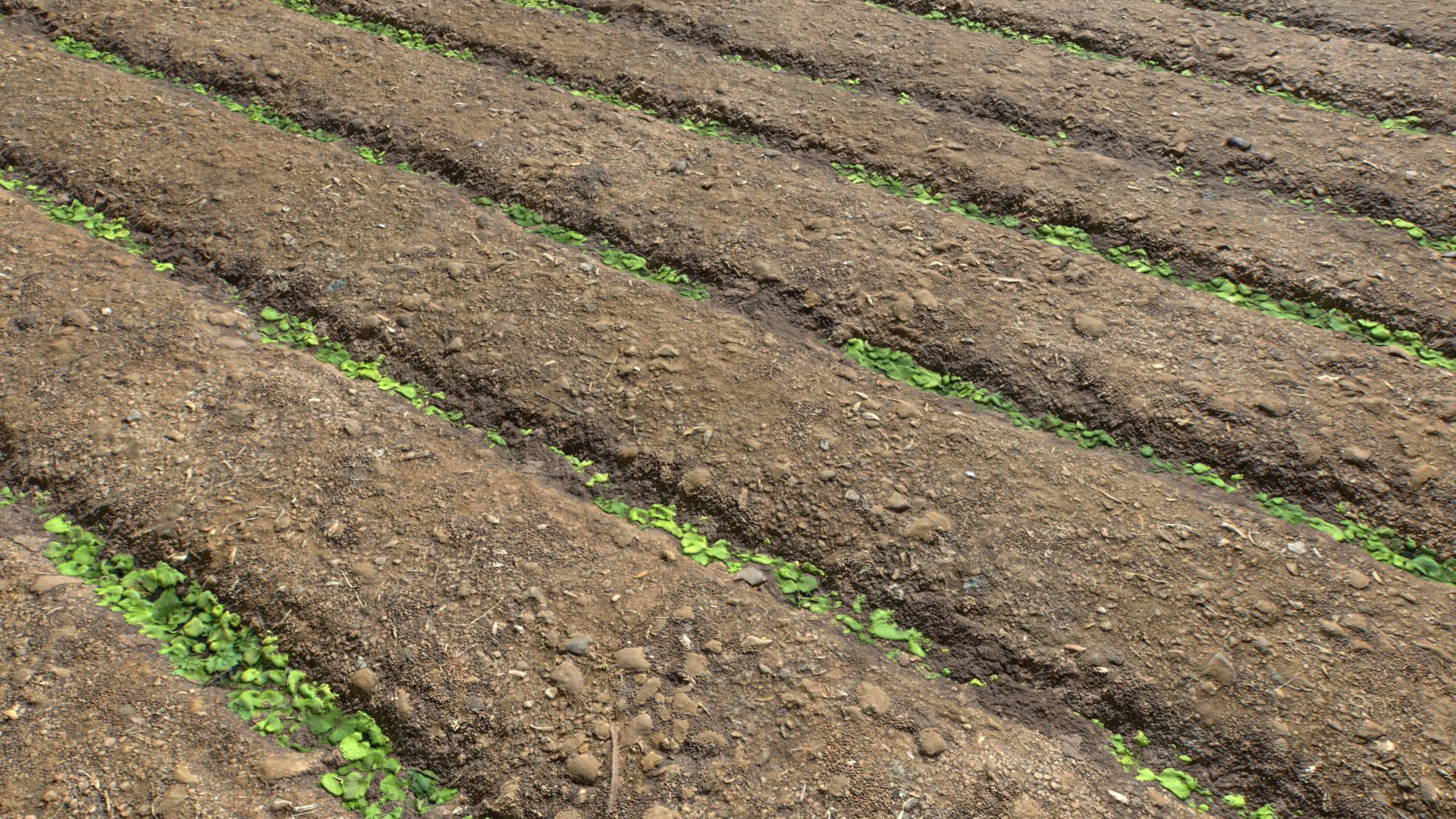 Farm Terrain Textures 3D - TurboSquid 2435673